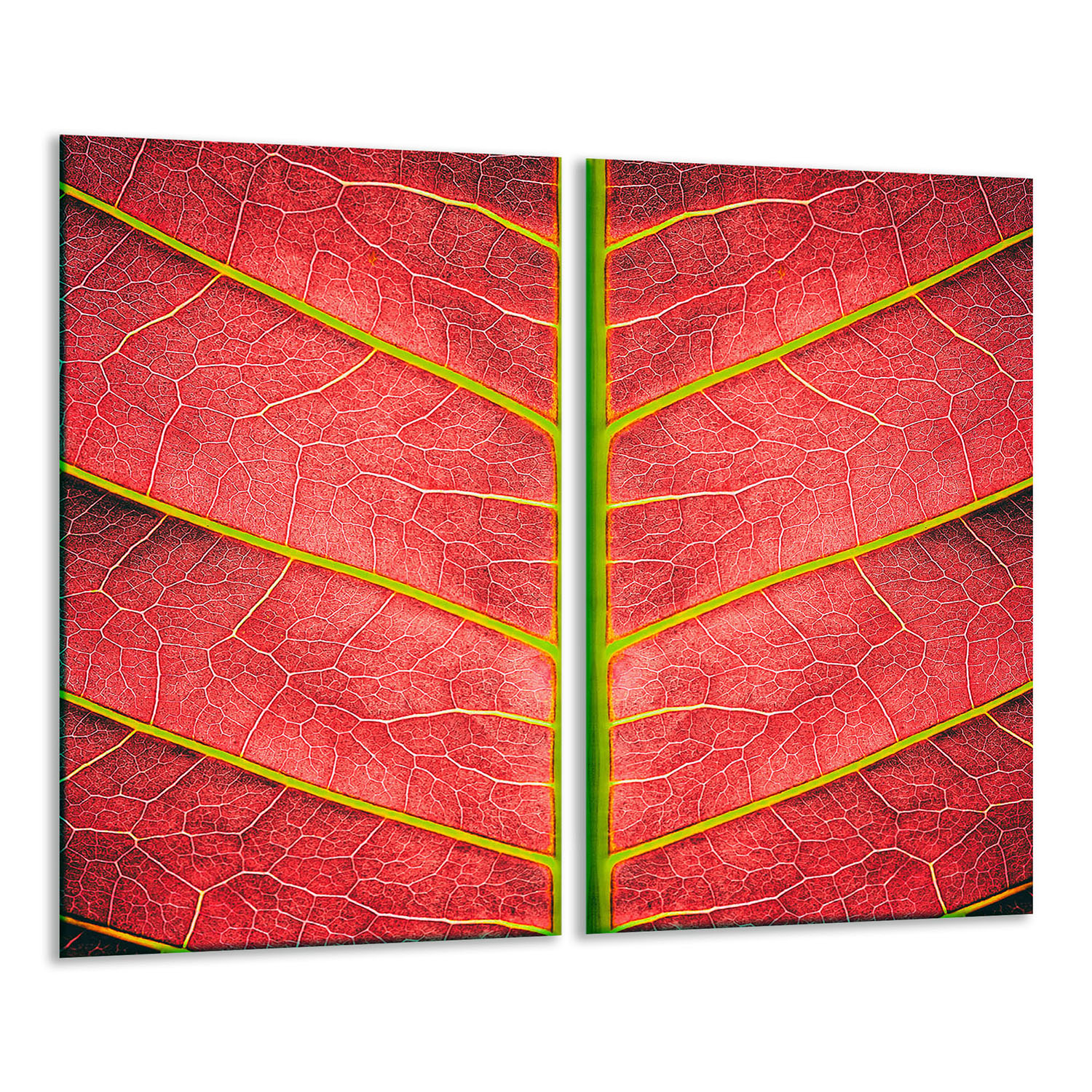 Driving School Sign 2X Black & Chrome Driving School Roof Sign Decals ...