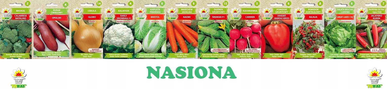 Cebula Sałatkowa Globo B.Duża Nasiona 2G - Toraf | Sklep EMPIK.COM