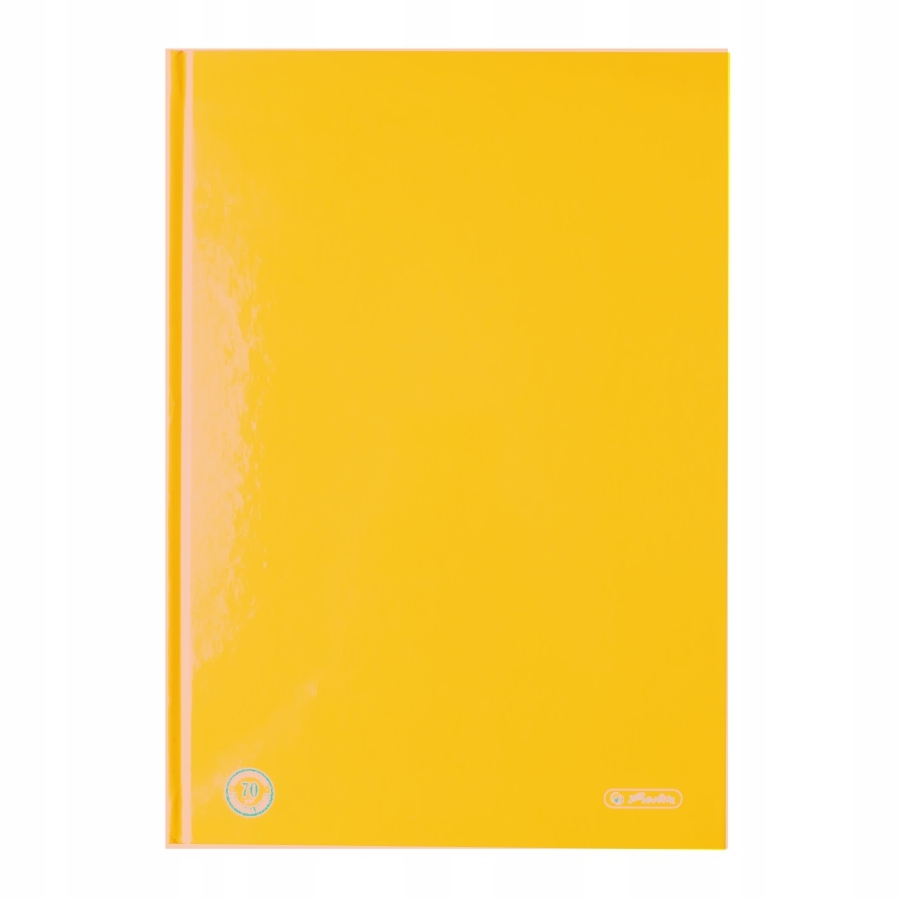 Brulion B5 Kratka 120 Color Blocking Herlitz - Herlitz | Sklep EMPIK.COM