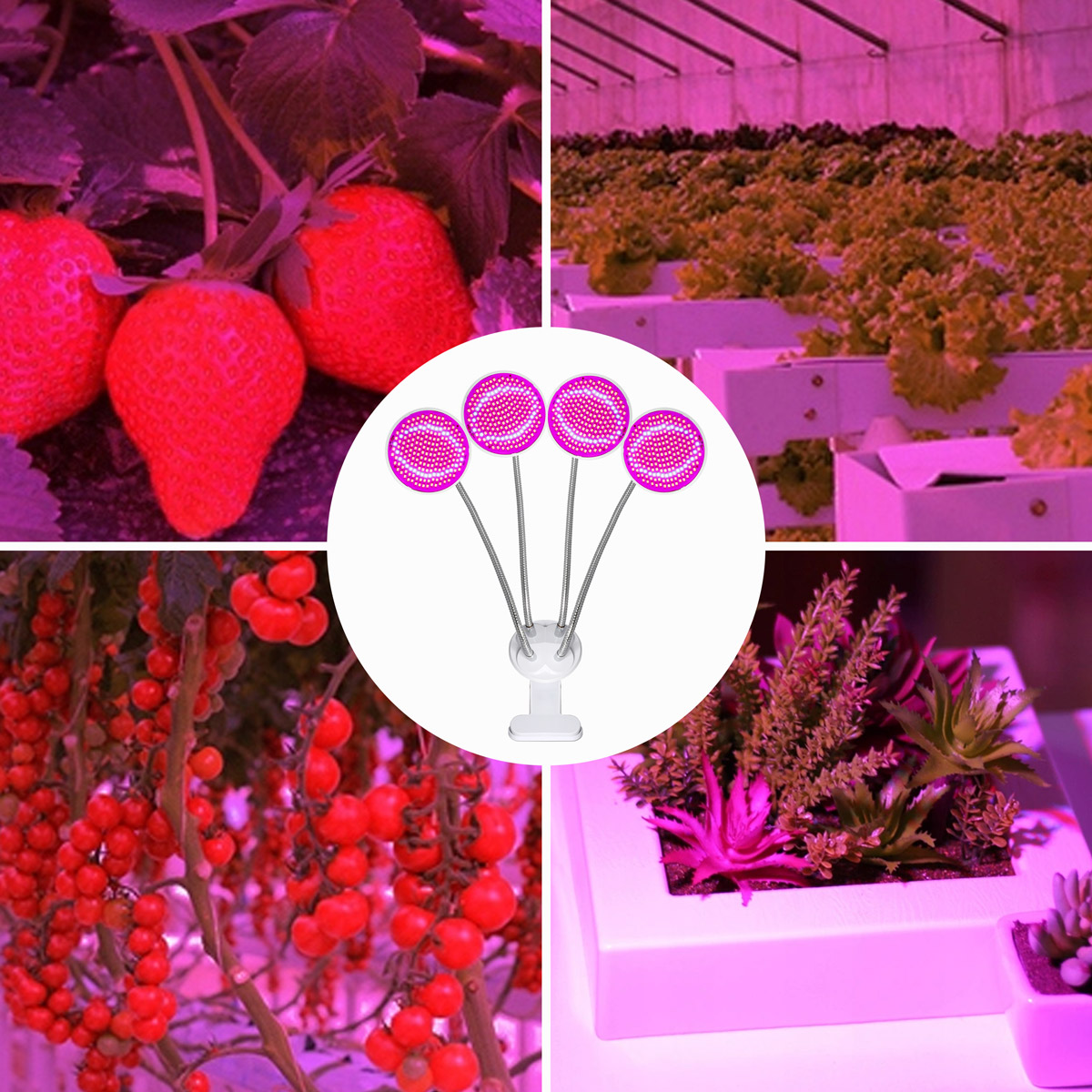 Zestaw 4x Żarówka LED plant Heckermann 200LED 18WLED - 20W + Uchwyt ...