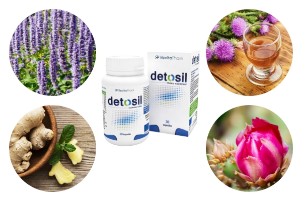 Detosil, Wsparcie Organizmu W Usuwaniu Toksyn I Złogów Suplement diety ...