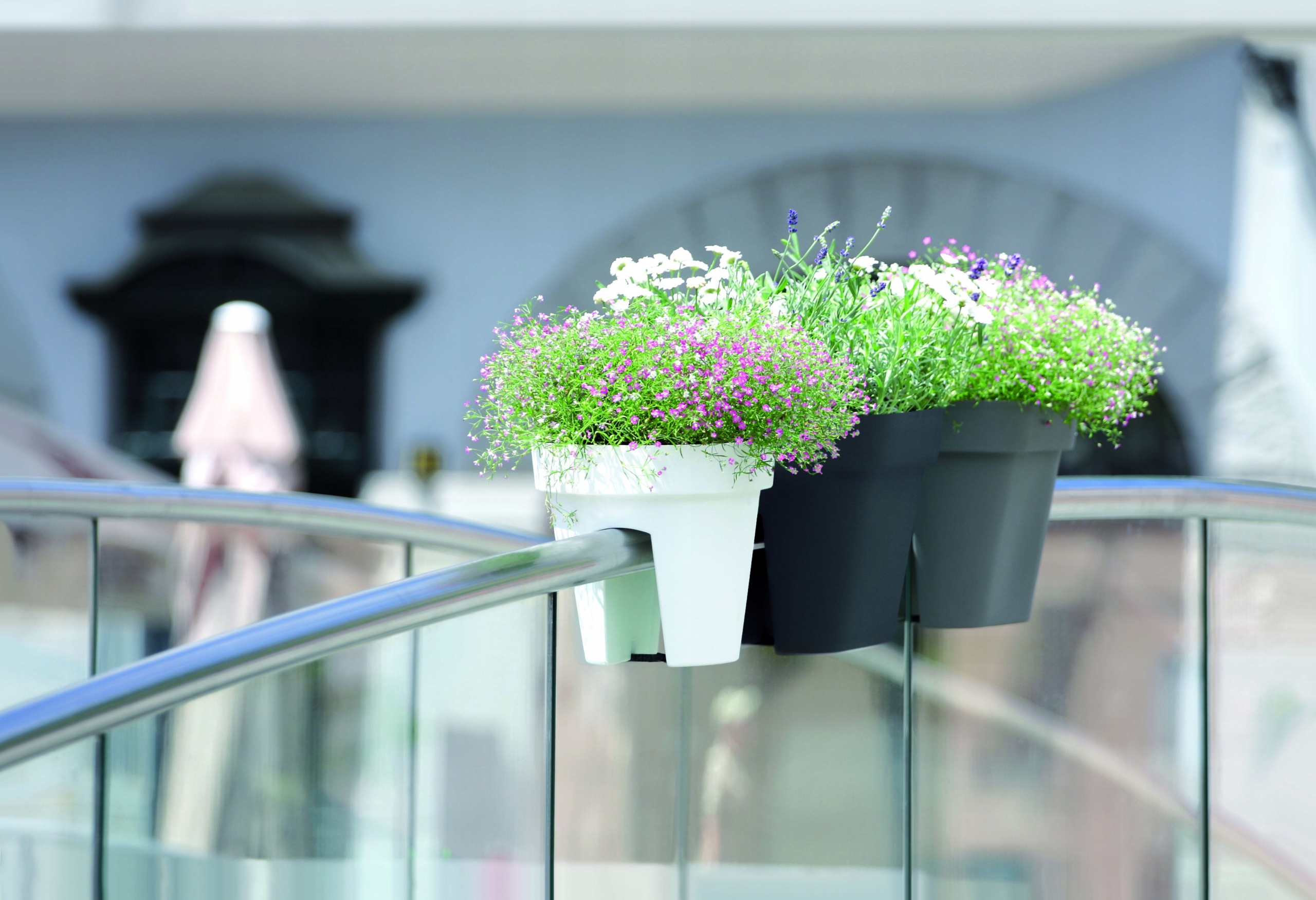 Doniczka Na Balustradę Lofly Dlofr400 | Terakota - PROSPERPLAST | Sklep EMPIK.COM