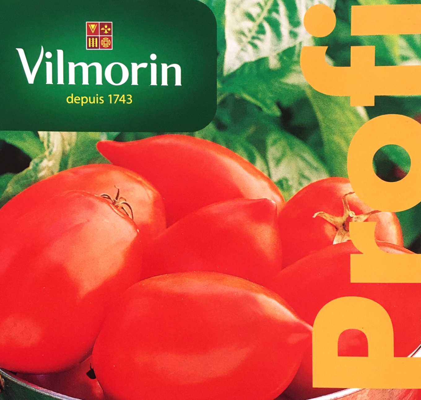 Pomidor Big Mama F1 15N Vilmorin Profi - Vilmorin | Sklep EMPIK.COM