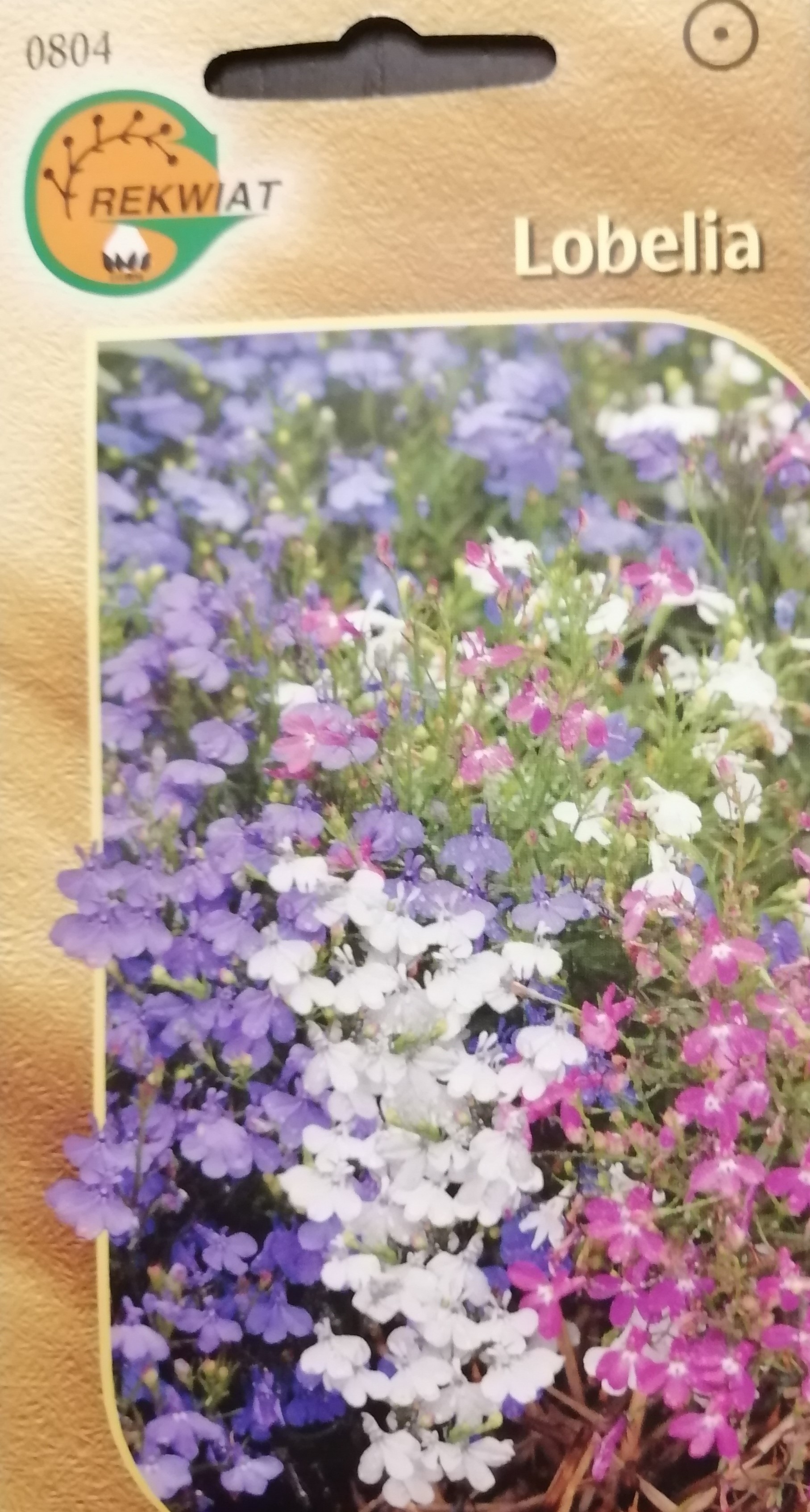 Lobelia mix nasiona do uprawy w doniczki i rabaty - Arena.pl