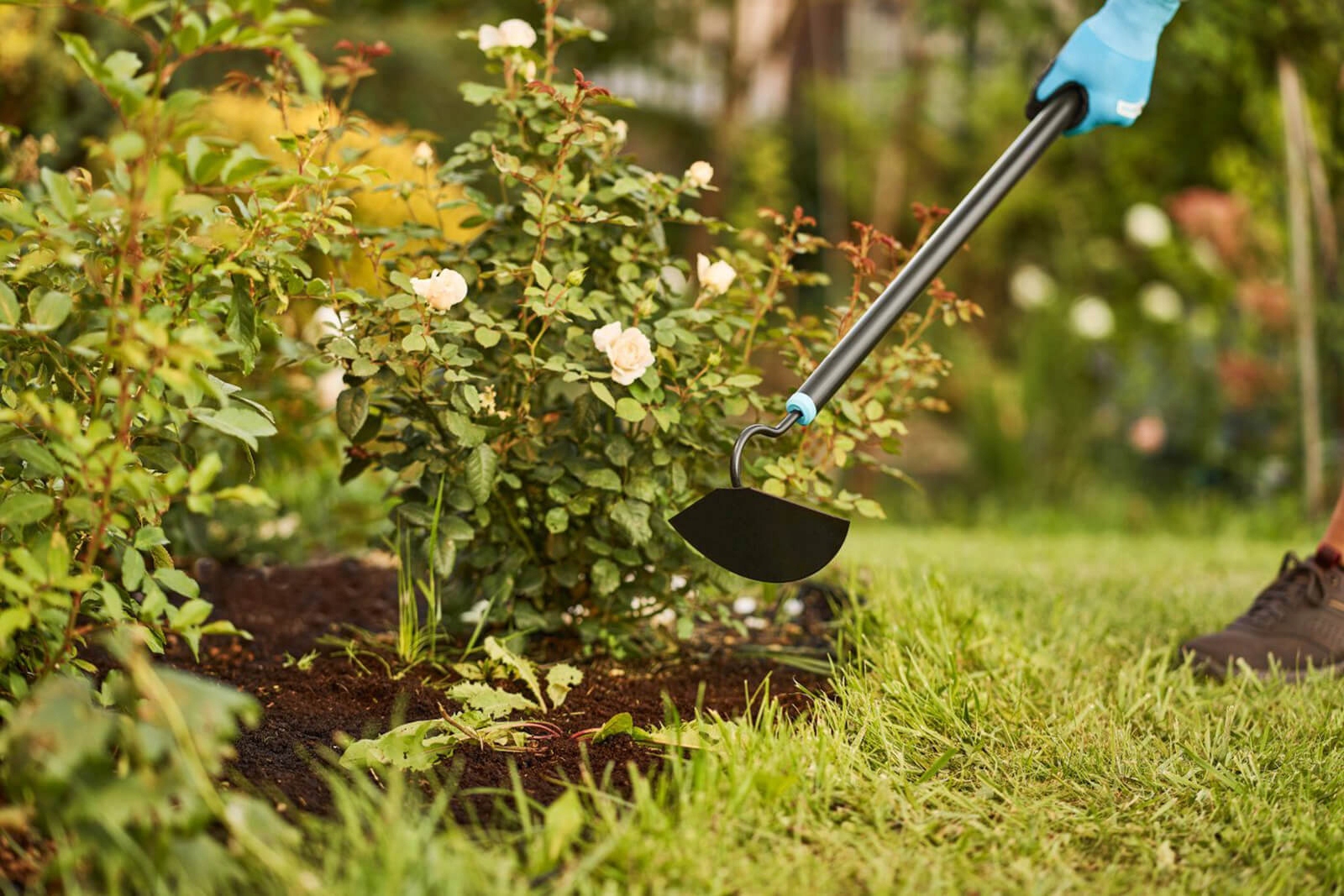 Motyka Motyczka Haczka Gracka Półokrągła Sercowa Ogrodowa IDEAL PRO ...